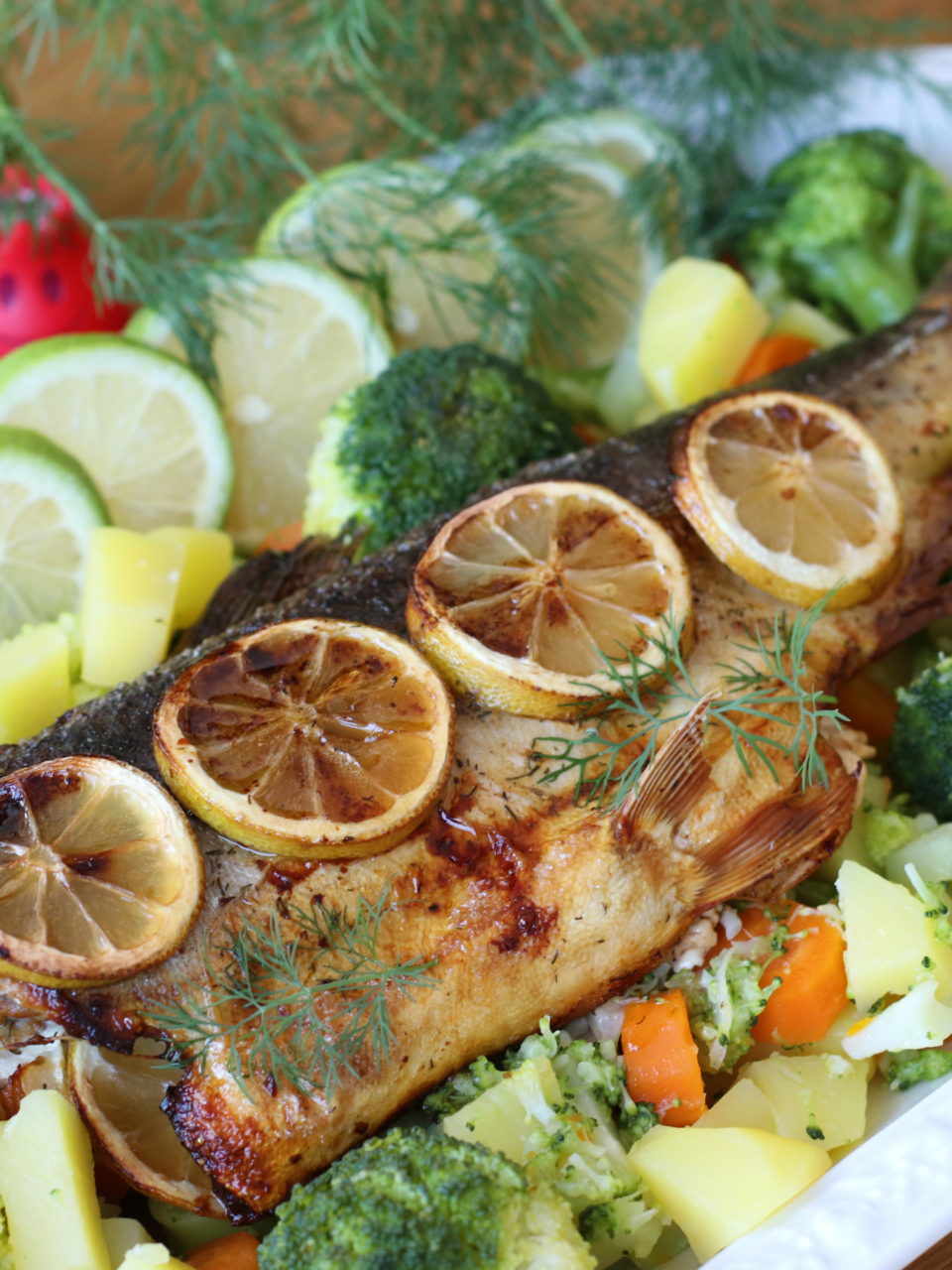 Ganzer Wildlachs auf Gemüse – Schokomaulwurf